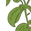 piengoo User Profile | DeviantArt