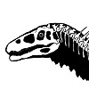 Indoraptor Skeletal by Canadian-carnosaur on DeviantArt