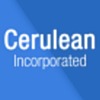 ceruleaninc User Profile | DeviantArt