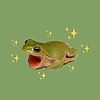 cowboyfroggo User Profile | DeviantArt