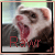 Hamster-Wheel User Profile | DeviantArt