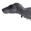 My Nikocado Avocado Roblox Avatar by ImCallingCorporate on DeviantArt