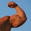 Muscle Warrior from Buddyheadx4 by joeysilverado on DeviantArt
