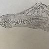 Titanus Rodan by IvanZV on DeviantArt