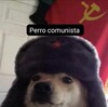 LuisFurry User Profile | DeviantArt