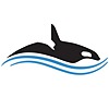 marinebio - Hobbyist, General Artist | DeviantArt