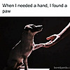 Mudpup01 User Profile | DeviantArt