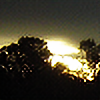 Plush-Photography - Photographer | DeviantArt