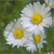 Pro-stock User Profile | DeviantArt
