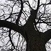 COOLY52 - Hobbyist, Writer | DeviantArt