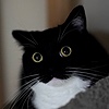 kaiga09 User Profile | DeviantArt