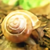 snail-king User Profile | DeviantArt