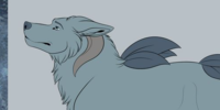 GrayShadowPack User Profile | DeviantArt