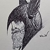 Percival Kahzalidade by Spooky-Daemon-King on DeviantArt