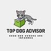 topdogadvisor User Profile | DeviantArt