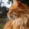 wcotc User Profile | DeviantArt