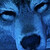 A-Grey-Wolf User Profile | DeviantArt