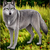 Age-of-the-wolves User Profile | DeviantArt