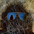 Alan-Nealy - Hobbyist, Photographer | DeviantArt