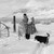 AllanErickson - Professional, Photographer | DeviantArt