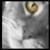 apatheticbehavior User Profile | DeviantArt