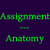 Assignment-Anatomy User Profile | DeviantArt