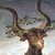 Assinio User Profile | DeviantArt
