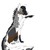 Baa-Drawcast User Profile | DeviantArt