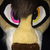 $10 Lion Adoptables (2/5 OPEN) by LanieJ on DeviantArt