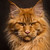 bla25 User Profile | DeviantArt