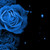 Blue-Azure-Rose - Hobbyist, Artisan Crafter | DeviantArt