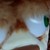 bottleneckturtle User Profile | DeviantArt