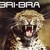 About Bri-Bra | DeviantArt