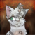 CelestialBreeze - Hobbyist, Digital Artist | DeviantArt