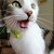 Charlyce User Profile | DeviantArt
