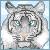 Cloud-Tiger User Profile | DeviantArt