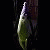Club-Iris User Profile | DeviantArt