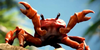Crab-Army | DeviantArt