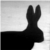creepy-rabbit User Profile | DeviantArt