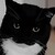 crustybirdtoes666 User Profile | DeviantArt