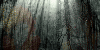 Dark-Woods-Creatures DeviantArt Favourites