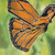 DemonThief User Profile | DeviantArt