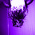 designerica User Profile | DeviantArt