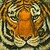 DeweyGreen User Profile | DeviantArt