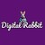digitalrabbituk User Profile | DeviantArt