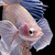 DivineBetta User Profile | DeviantArt