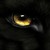 djwhitmore User Profile | DeviantArt