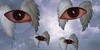 DollKin-and-AngelKin Blog | DeviantArt
