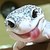 DontBoopLizardsnoot User Profile | DeviantArt
