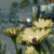 DragUse User Profile | DeviantArt